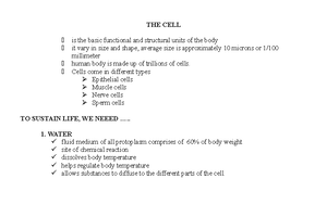 Pelvis TO Upper Femora - A A Pelvis and Upper Femora .. AP PROJECTION ...