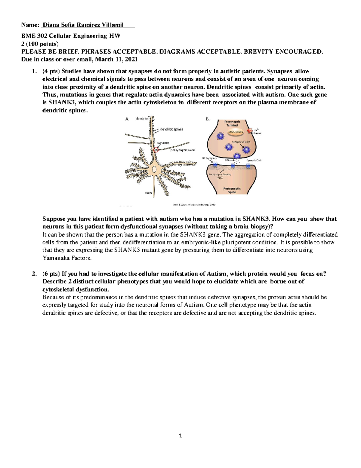 BME302 HW2 2 - Cell Engineering - 1 Name:DianaSofiaRamirezVillamil BME3 02 CellularEngineeringHW ...