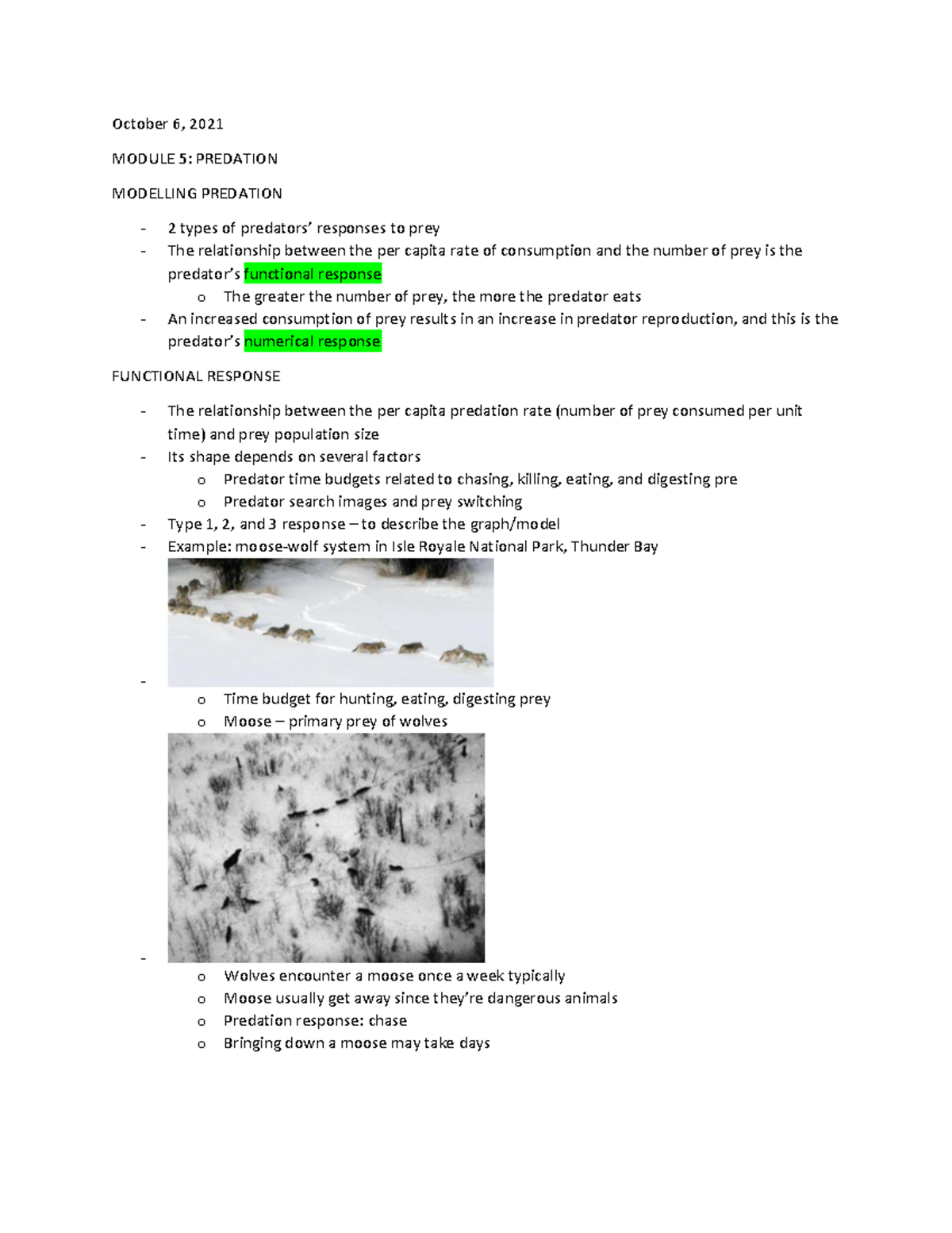 October 6 - modelling predation, functional response, switching ...