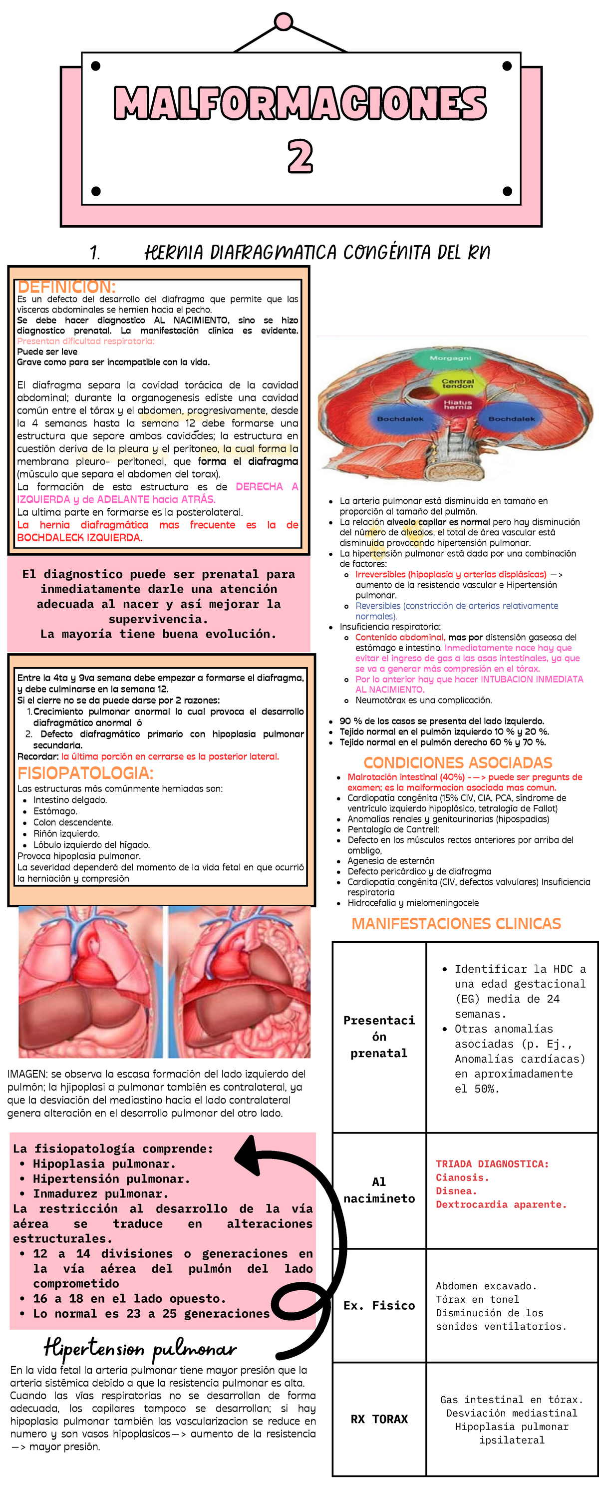 Hernia DiafragmáTICA, Atresia ESO, Cromosomopatias - El diagnostico ...