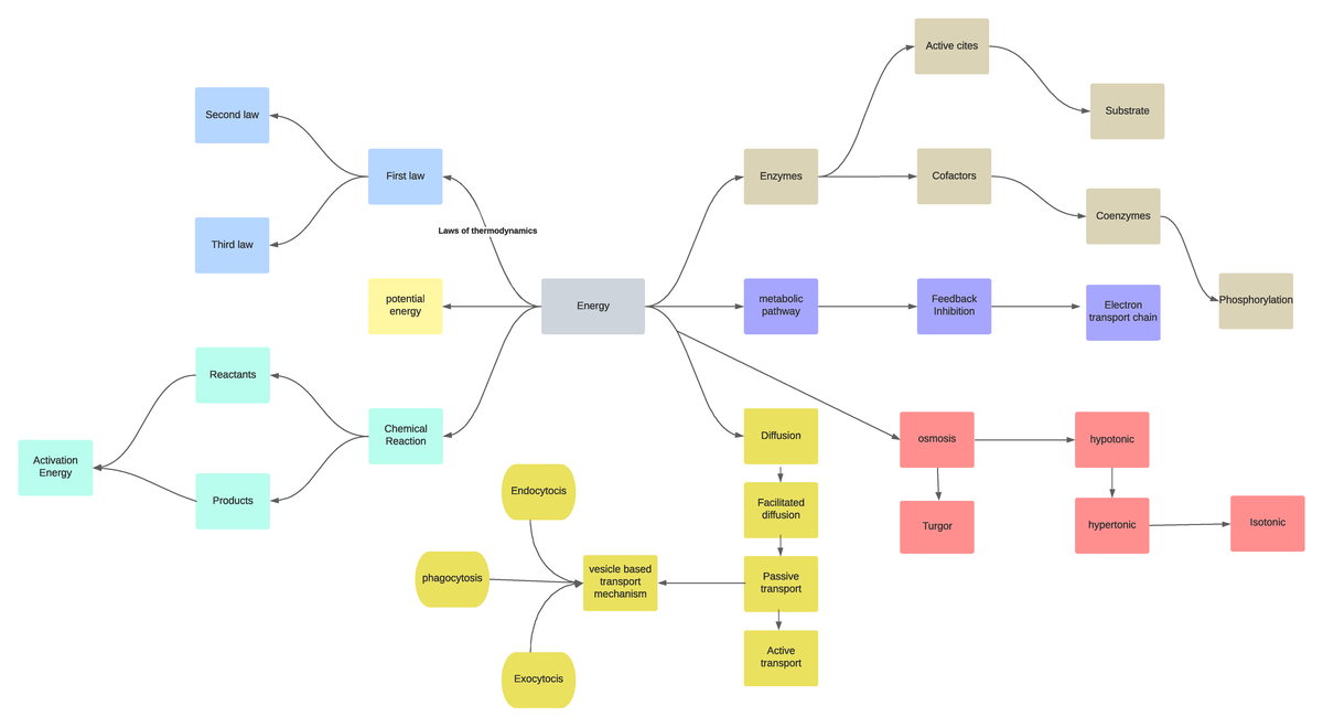 Chapter 4 concept map (Agustin) - Energy First law potential energy ...