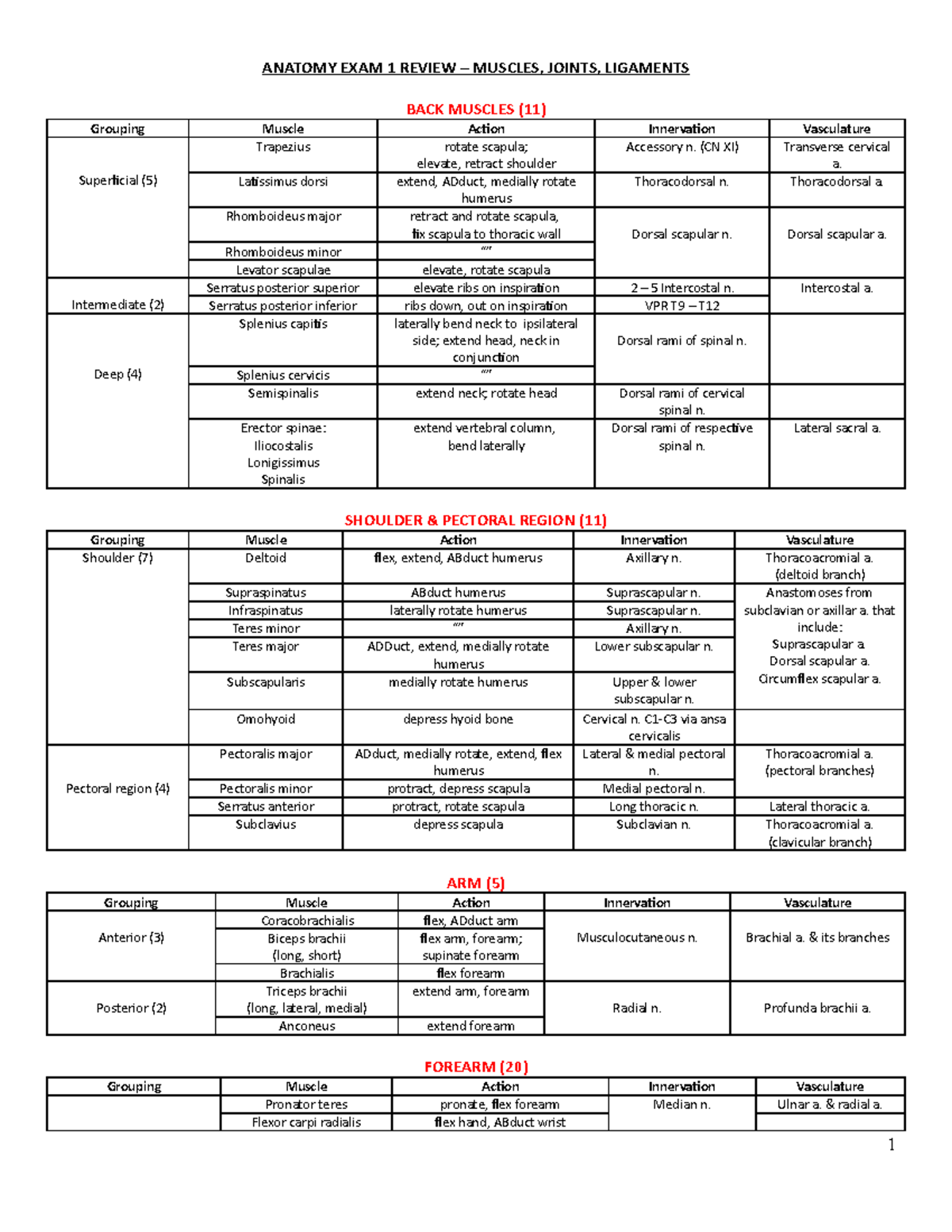 Anatomy revision notes - ANATOMY EXAM 1 REVIEW – MUSCLES, JOINTS ...