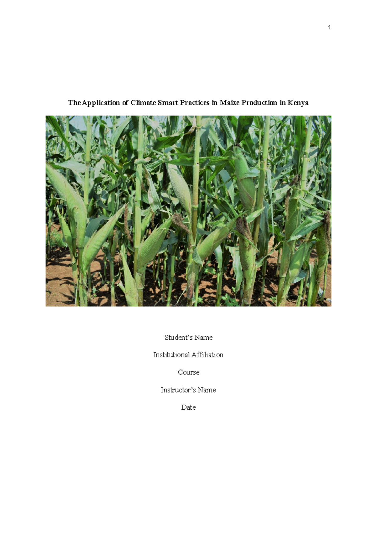 The Application of Climate Smart Practices in Maize Production in ...