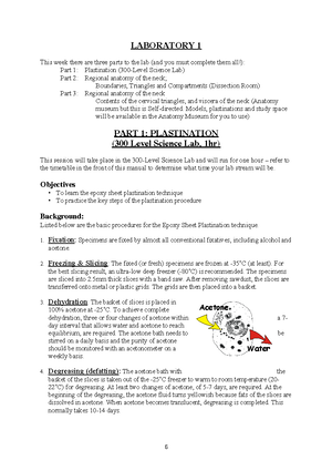 Draft 2 - observations for lab task - Observations: Based on your ...
