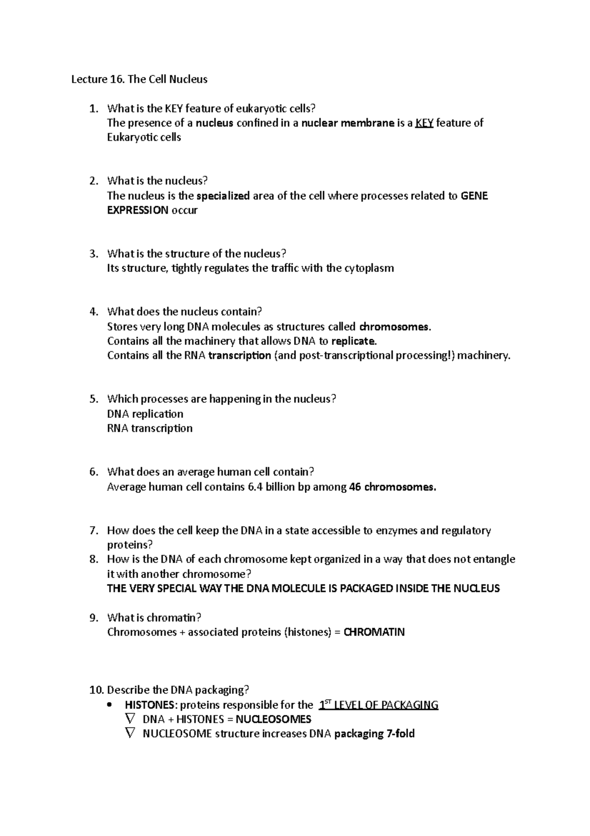 Lecture 16 - Lecture 16. The Cell Nucleus What is the KEY feature of ...