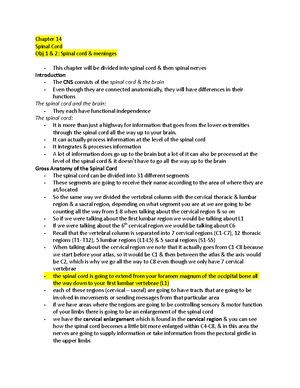Chapter 29 - anatomy - Chapter 29: Vital Signs Test Bank MULTIPLE ...