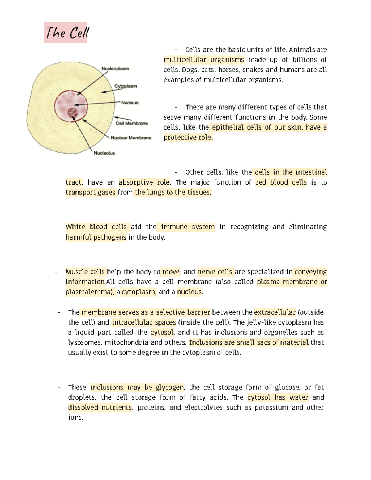 Cells are the basic units of life - Animals are multicellular organisms ...