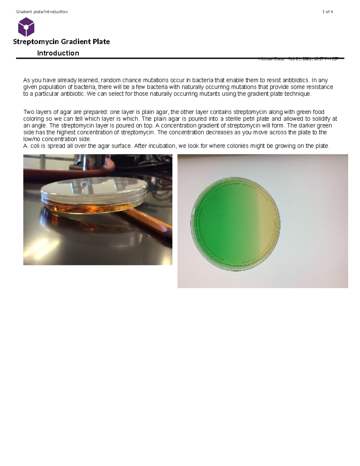 Streptomycin Gradient Plate Revised for Blackboard 6-11-22 - Gradient ...