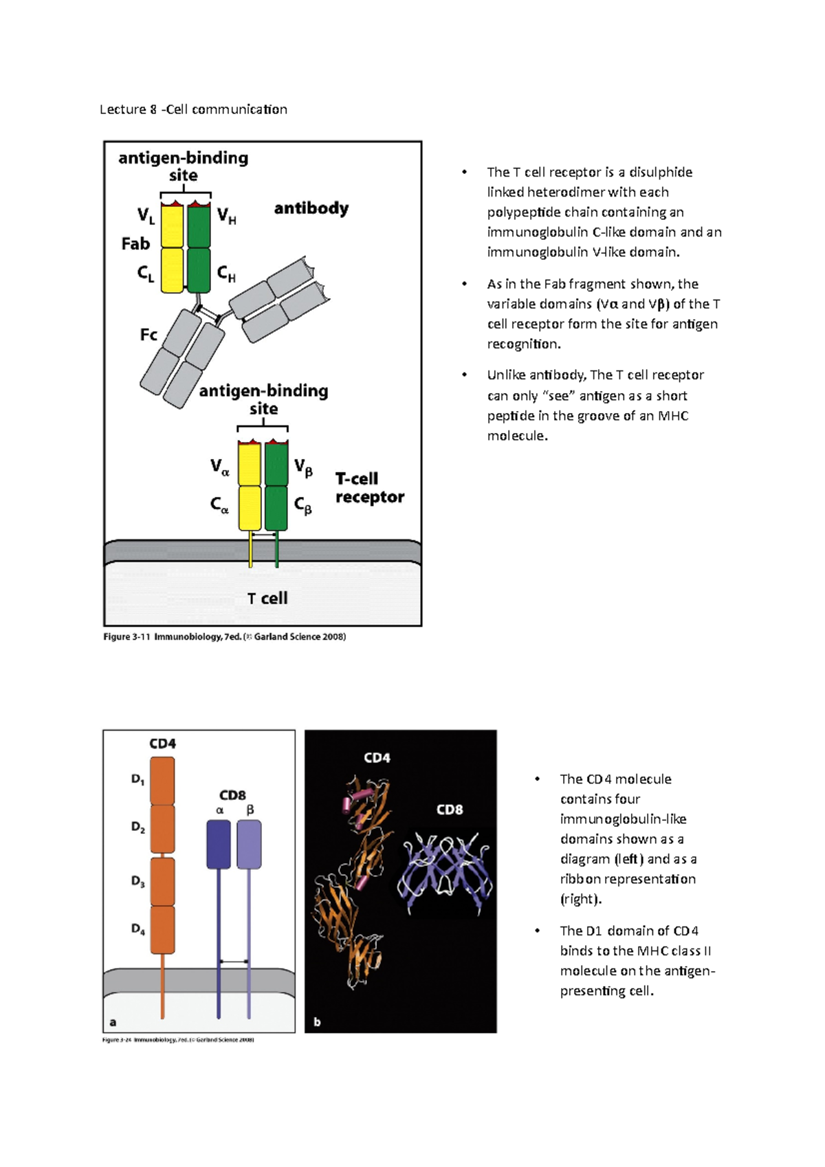 Lecture 8- cell to cell communication - Lecture 8 -Cell communication ...