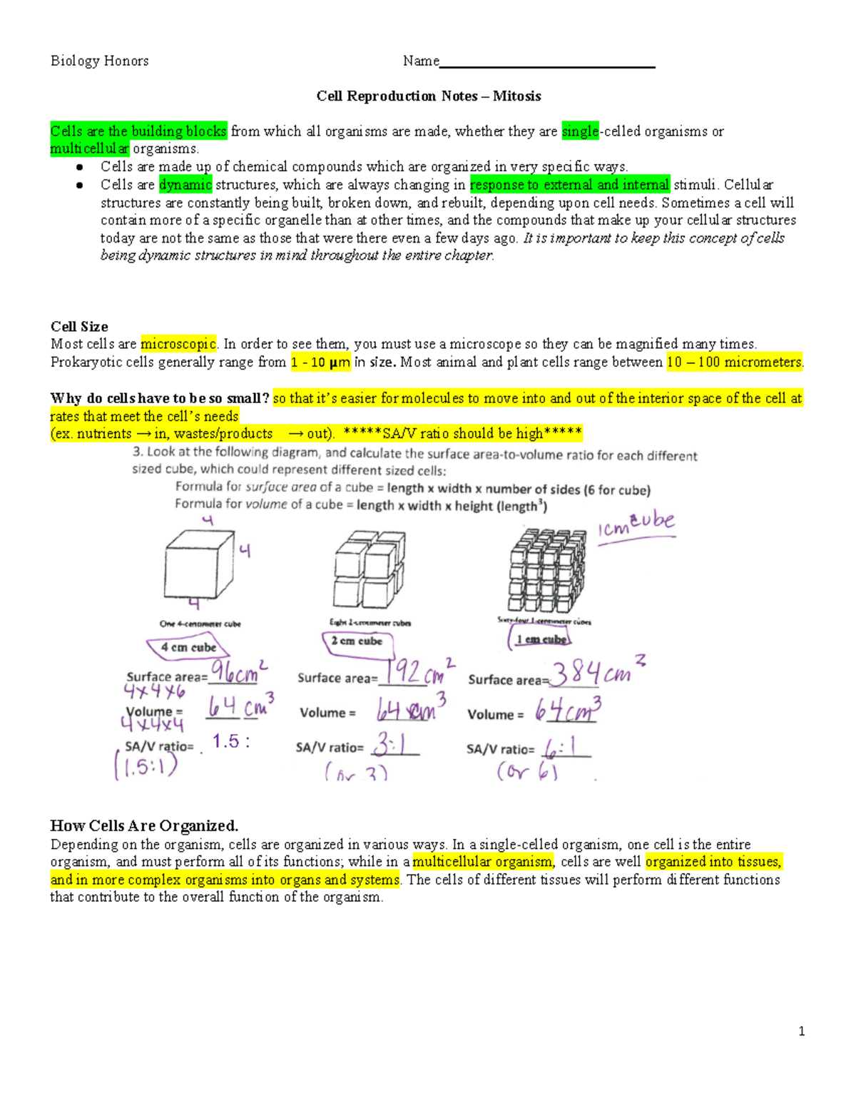 KEY+Mitosis+Notes+pages+1-4+only - Biology Honors Name Cell ...
