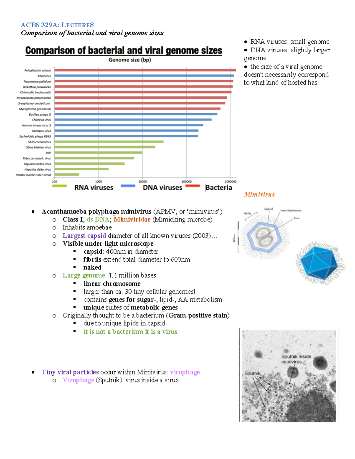ACBS 329A- Lecture 8 - Elizabeth Arnold - Comparison of bacterial and ...