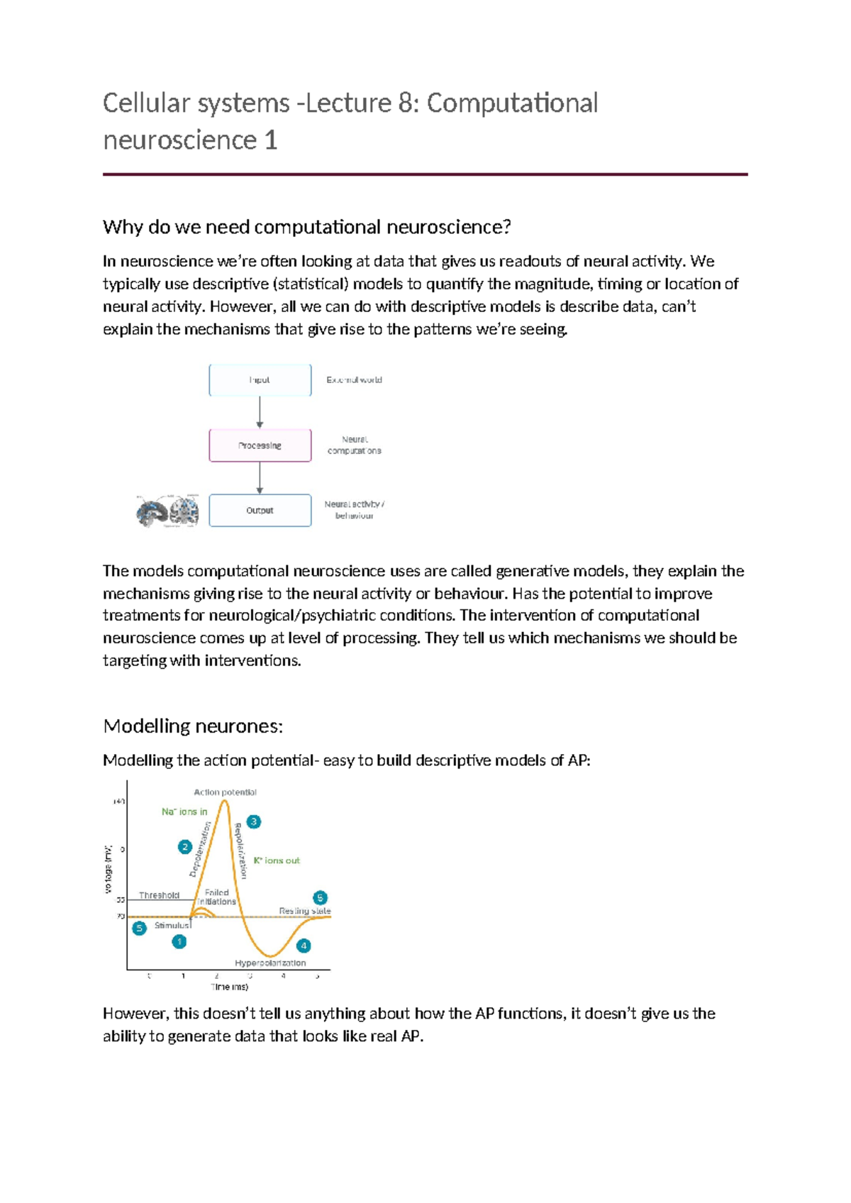 Lecture 8- Computational Neuroscience 1 - Cellular systems -Lecture 8: Computational ...