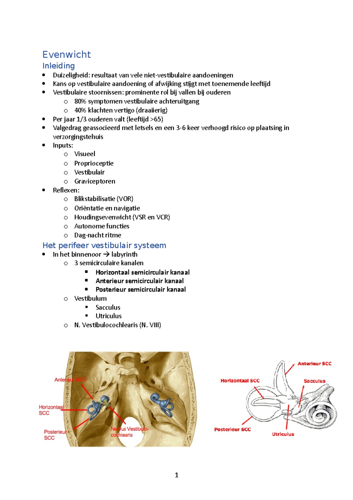 Evenwicht - Vestibulocochlearis (N. 1 Benig larinth o Omgeven door ...