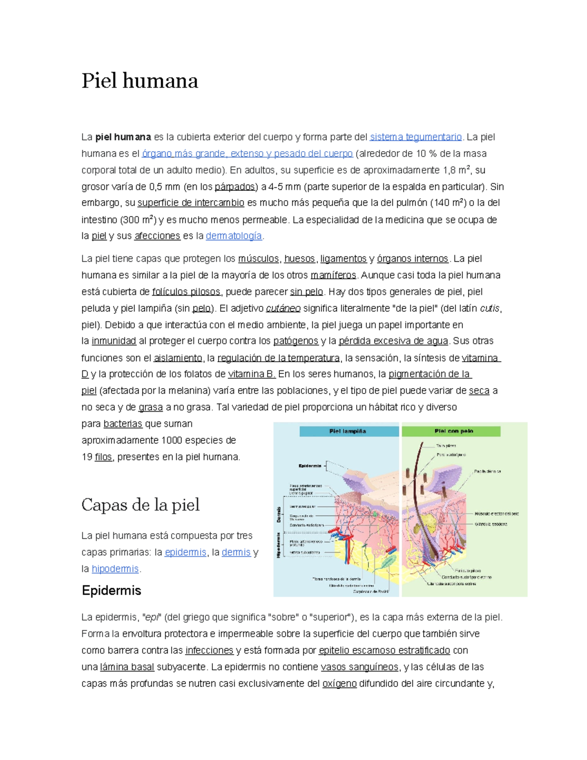 Piel humana - La piel humana es el órgano más grande, extenso y pesado ...