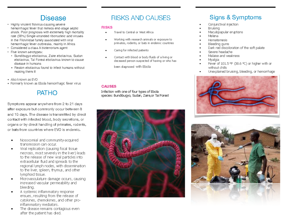 Ebola handout - Lecture notes Lecture notes - Disease Highly virulent ...