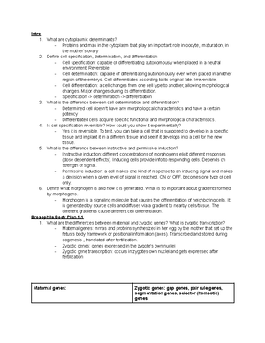 Developmental Biology MT 4 Notes - removal of the AER leads to ...