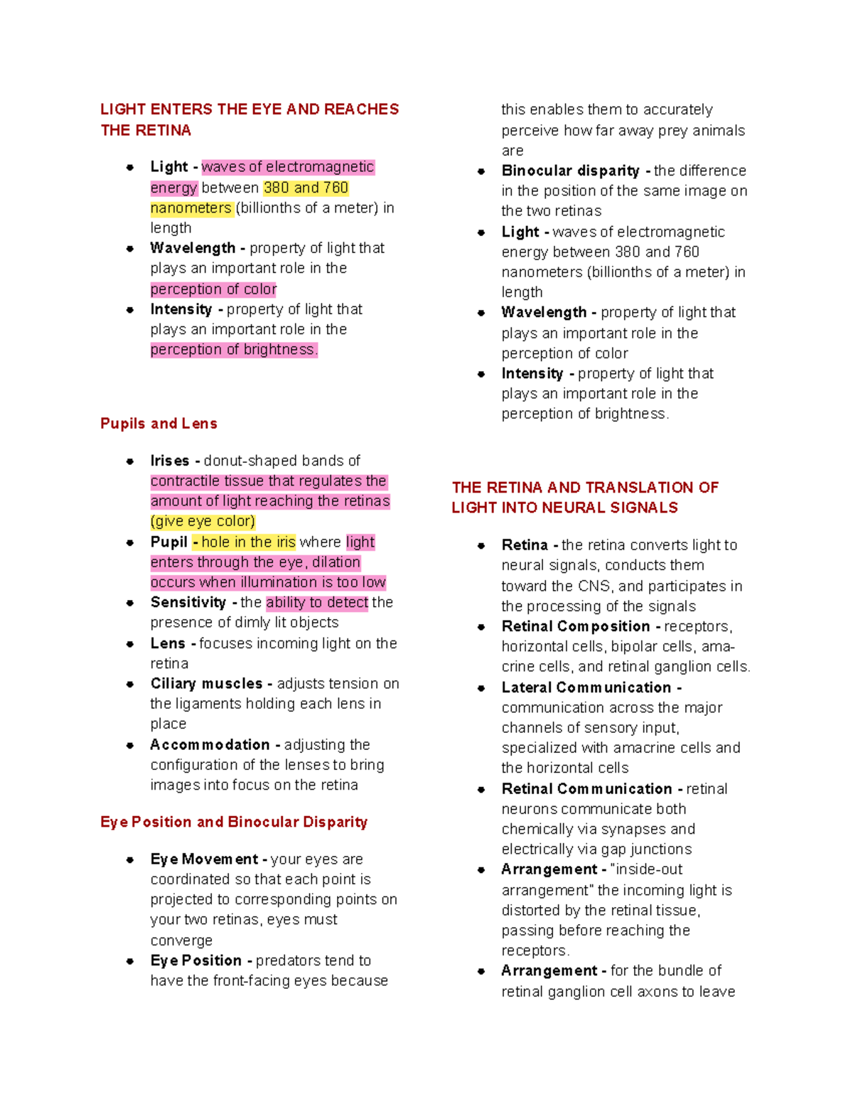 Chapter 6 The Visual System - LIGHT ENTERS THE EYE AND REACHES THE ...