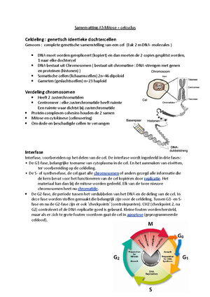 Labo 4 DNA - DNA extractie - LABO 4: DNA Naam ...