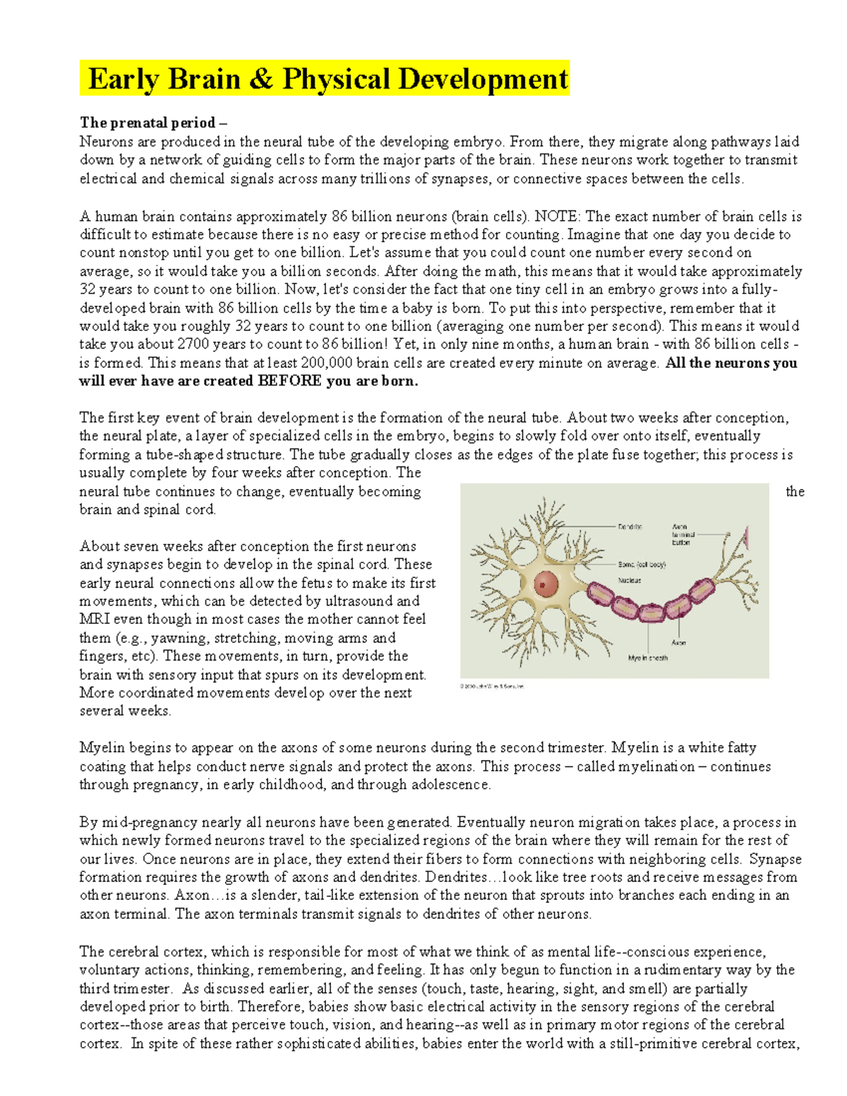 CH4 - Early Brain & Physical Development (Winter 2024) - Early Brain ...