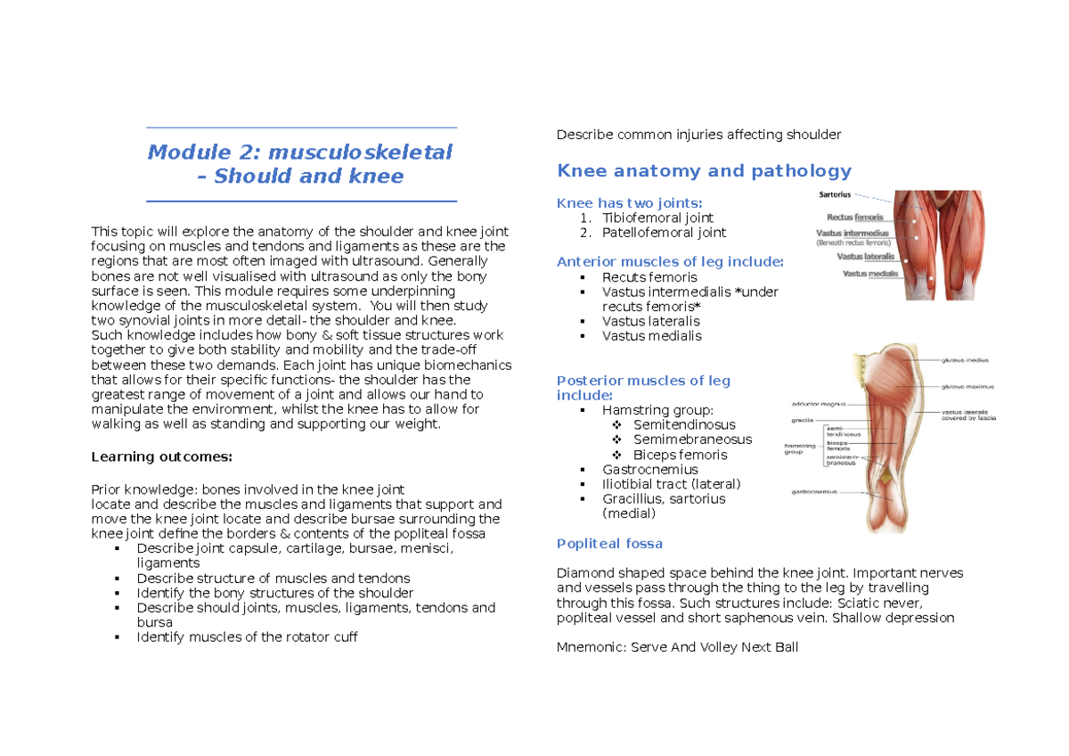 Module 2 - Module 2: musculoskeletal – Should and knee This topic will ...