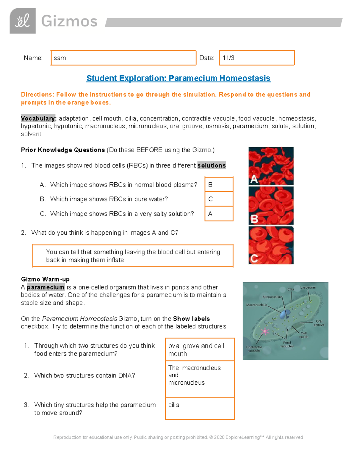 Gizmo Parameci Its um Homeostasis - Student Handbook - Name: sam Date ...