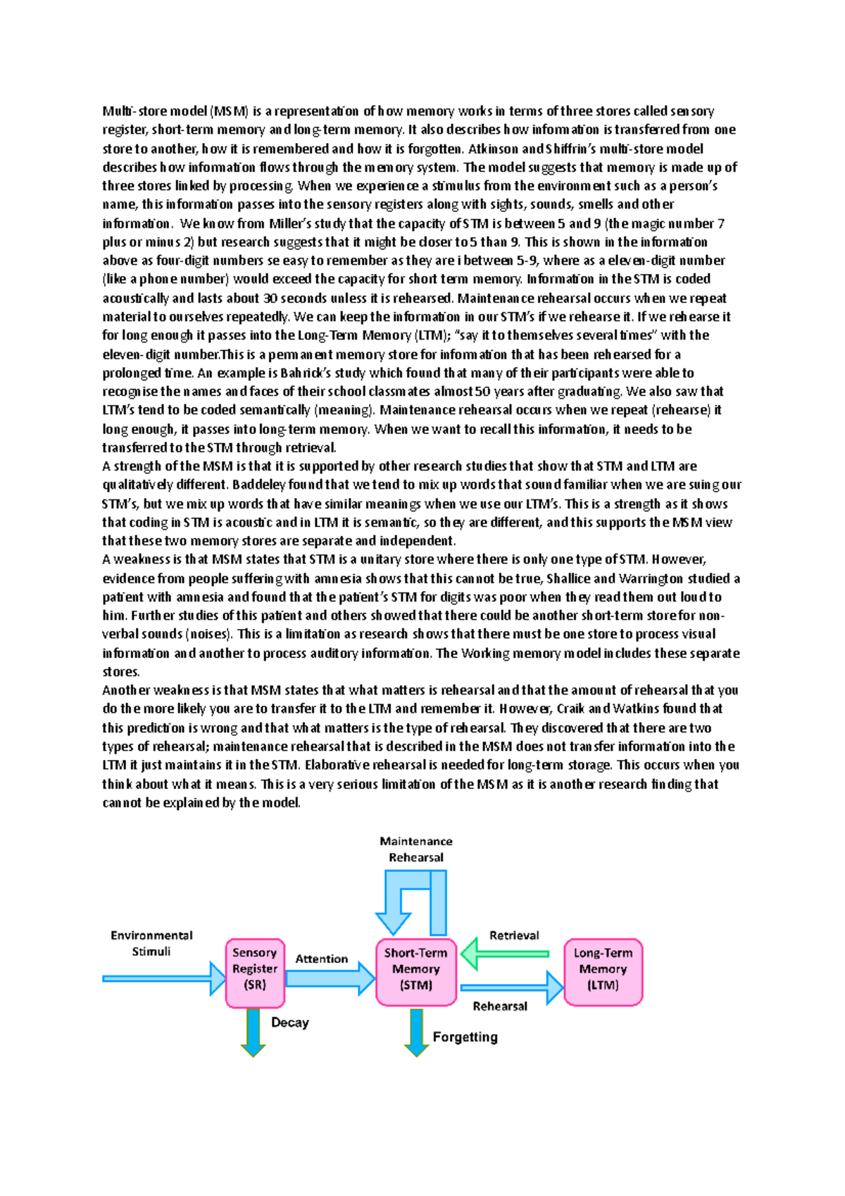 Describe and evaluate the Multi Store Model copy - Multi-store model ...