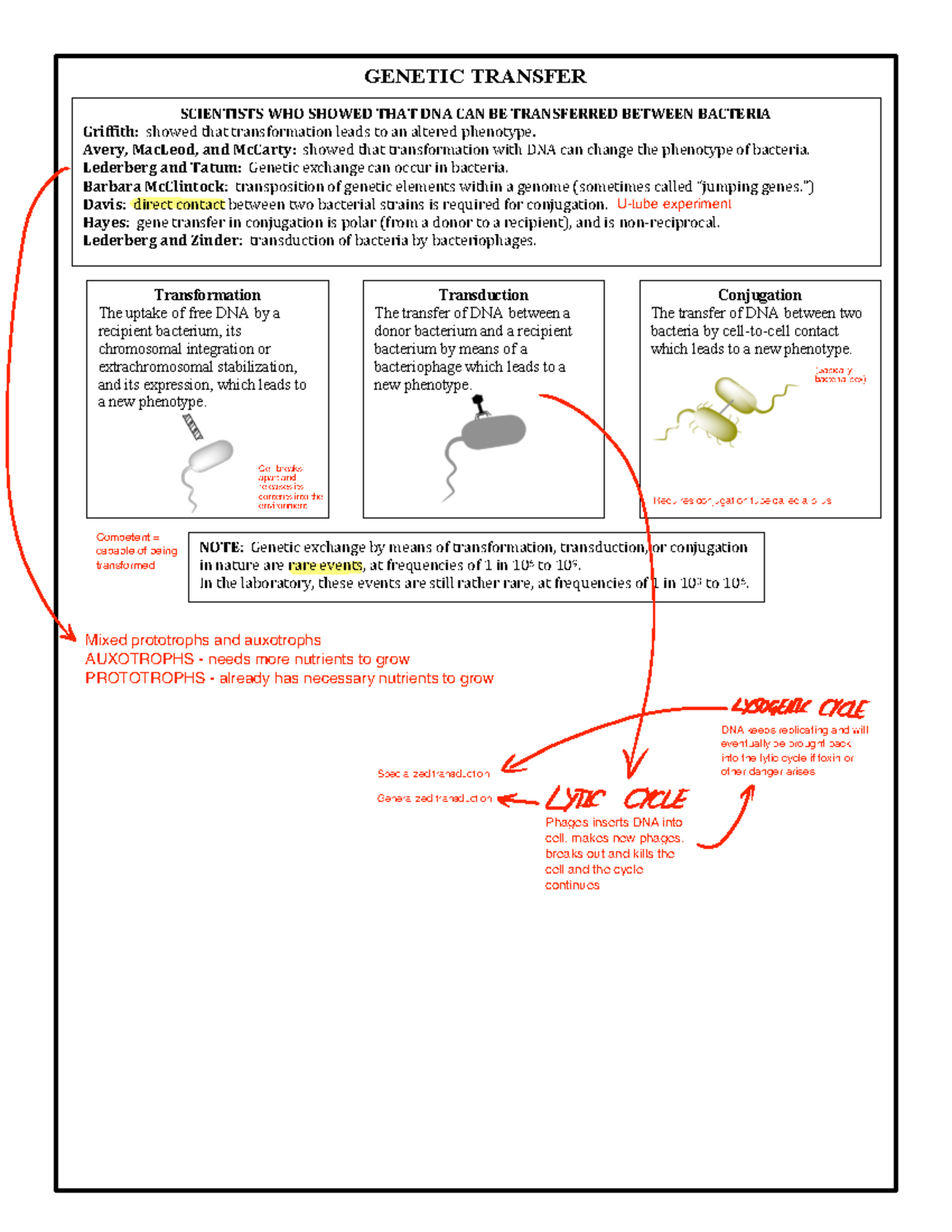 Cheat Sheet 9+Gene Transfer - GENETIC TRANSFER SCIENTISTS WHO SHOWED ...