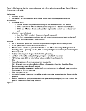 Lecture 7 Visual - Lecture 7 Visual System Visual system potpourri: few ...