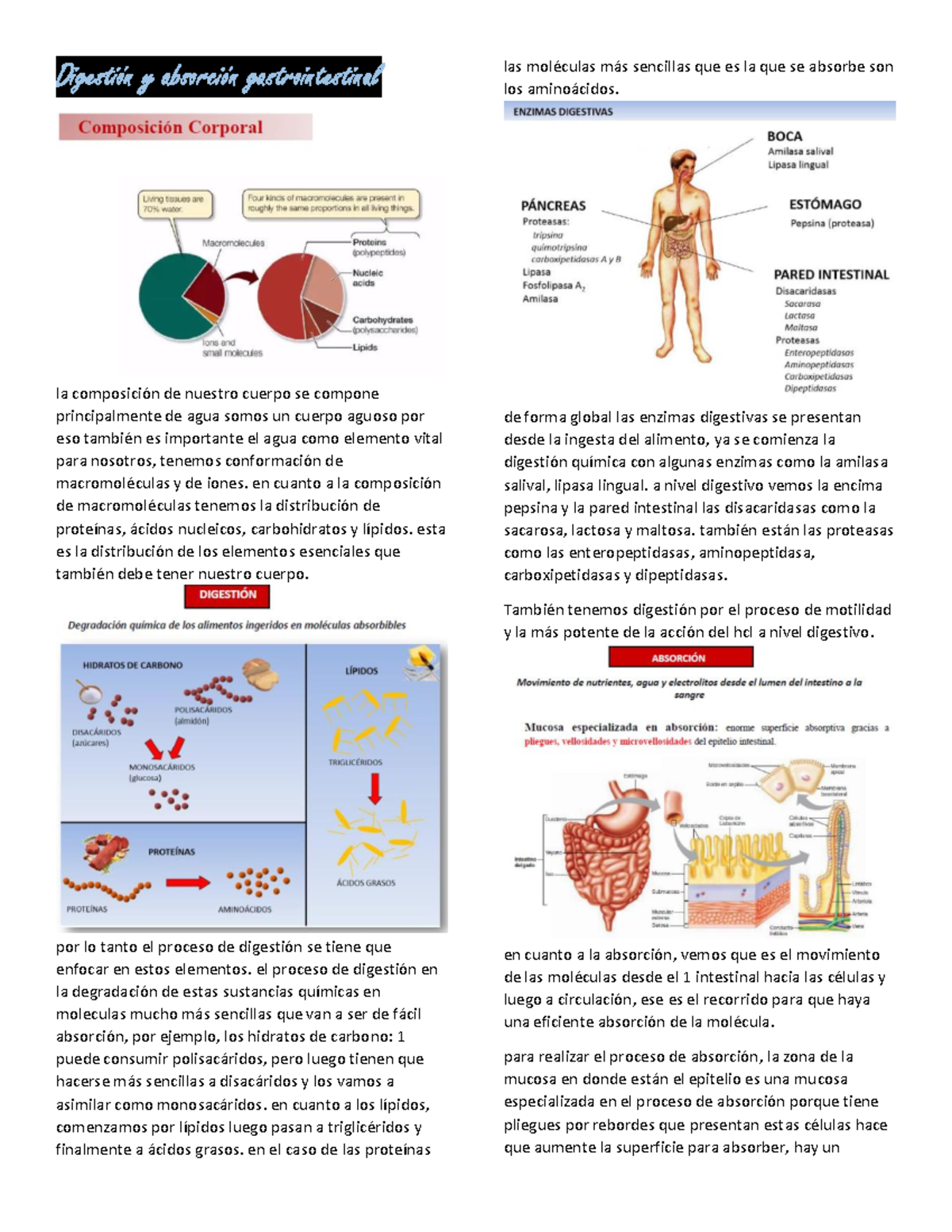 Tipeo digestion y absorcion - Digestión y absorción gastrointestinal la ...