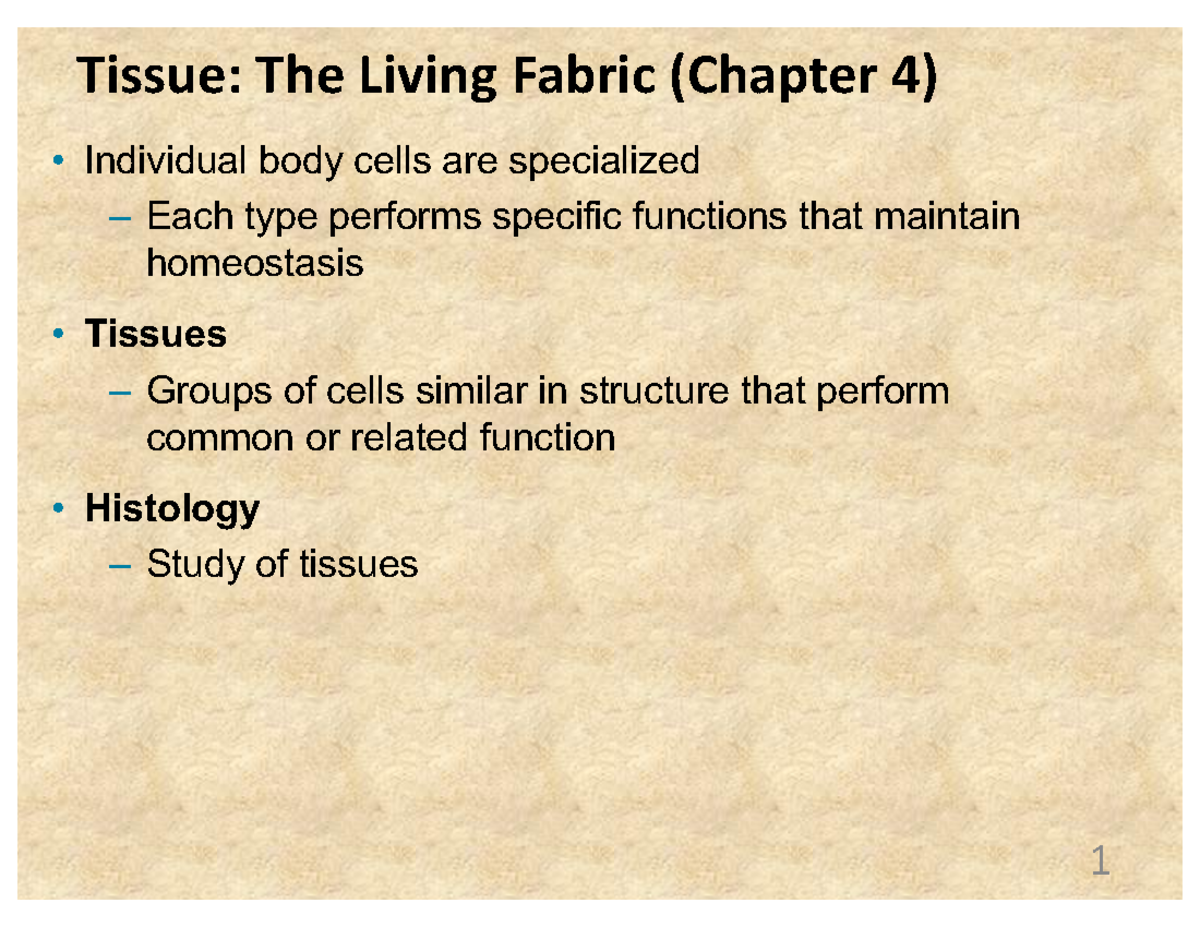 Lecture 2 - Week 1b full size - Tissue: The Living Fabric (Chapter 4 ...