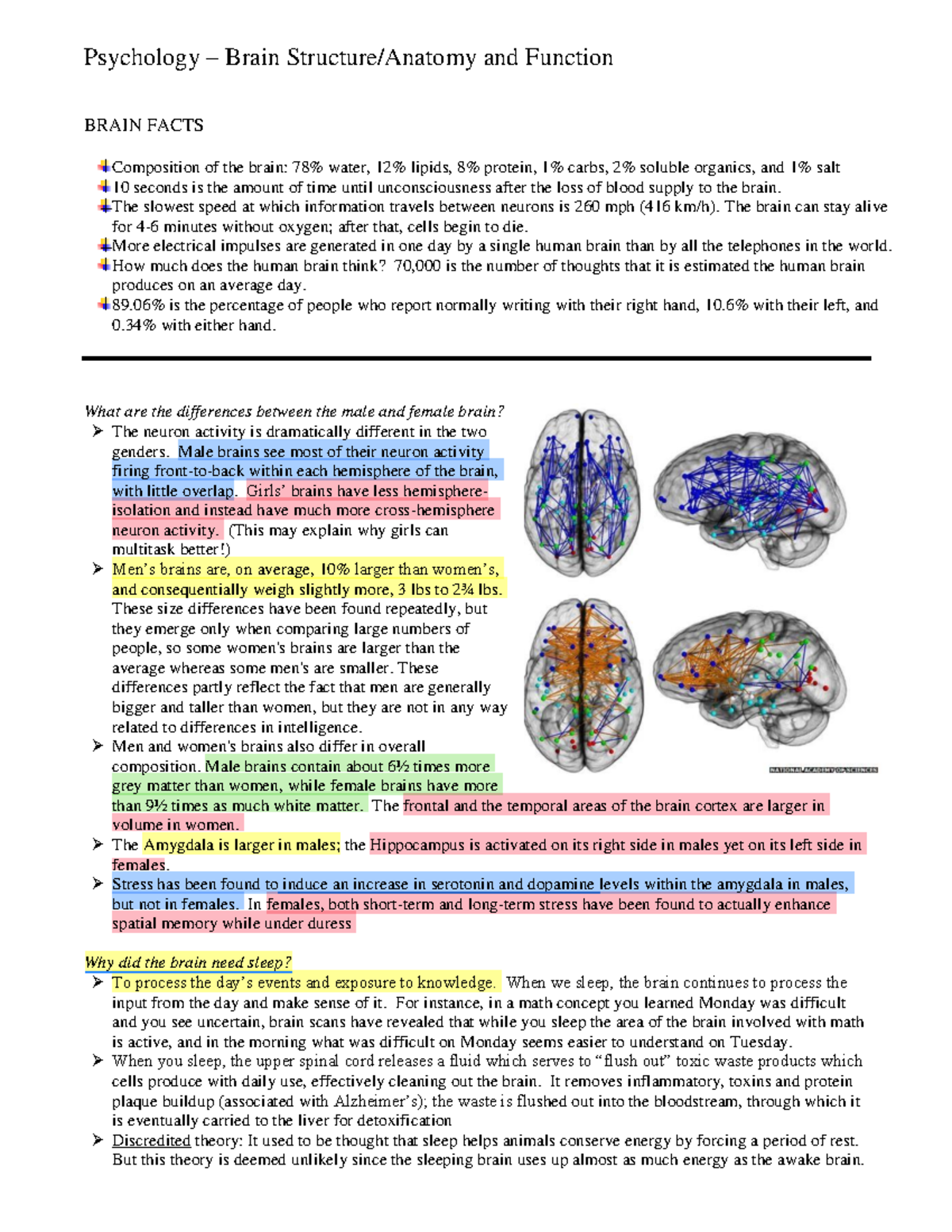 Brain Structure Psychology - Psychology – Brain Structure/Anatomy and ...
