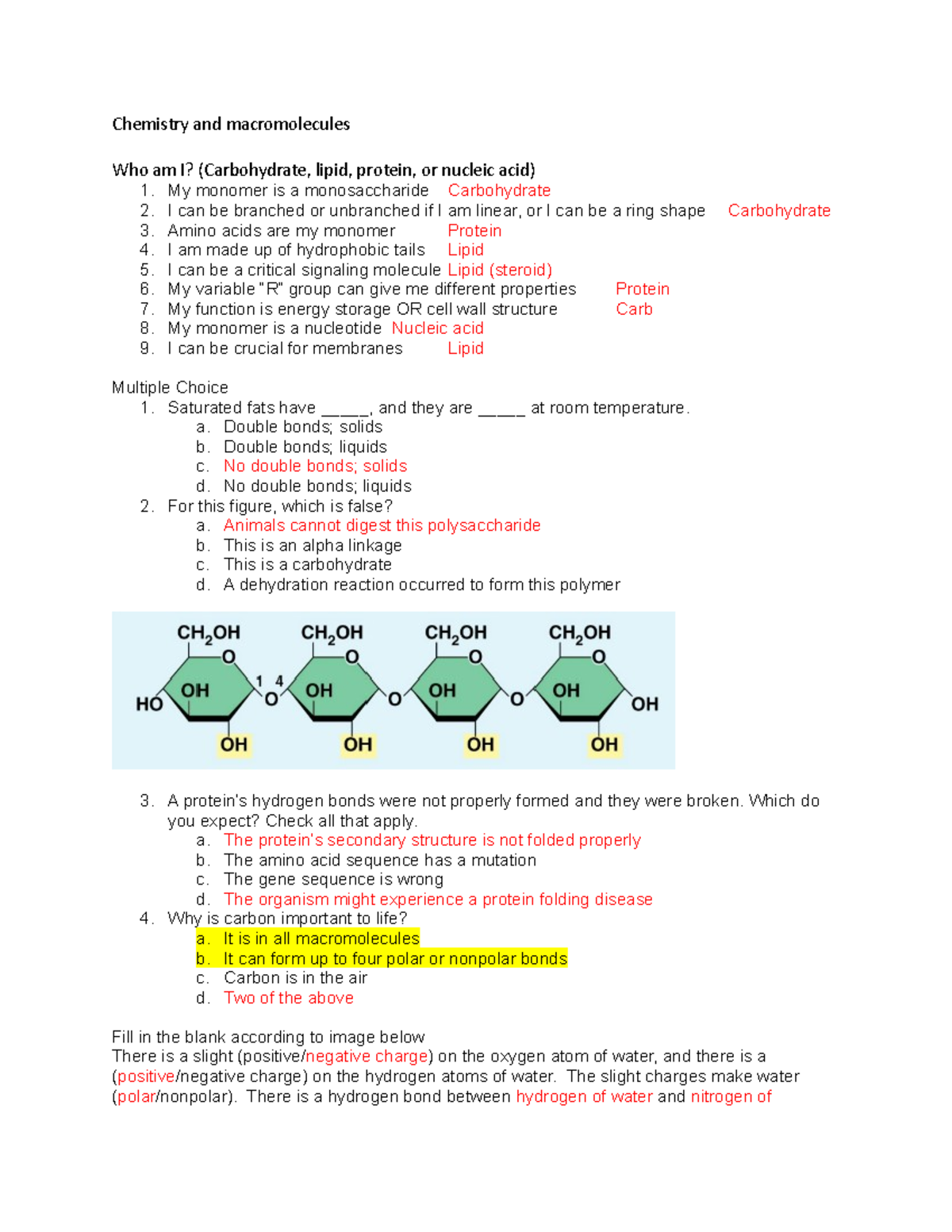 Exam 1 Review Doc - Chemistry and macromolecules Who am I ...