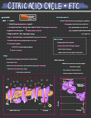 Cell Cycle Pogil Student Worksheet Fa2022 - What controls the life and ...