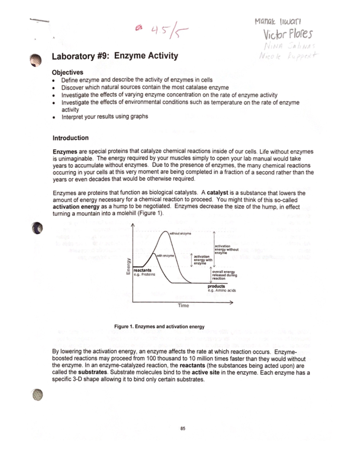 Lab 9 - Lab Work - BIOL-115 - Studocu