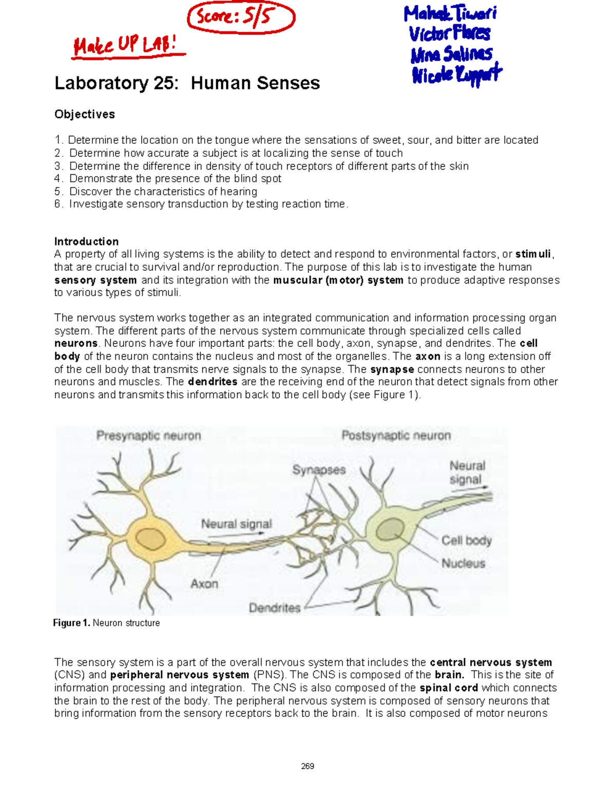 Lab 25 - Lab Work - Laboratory 25: Human Senses Objectives Determine the location on the tongue ...