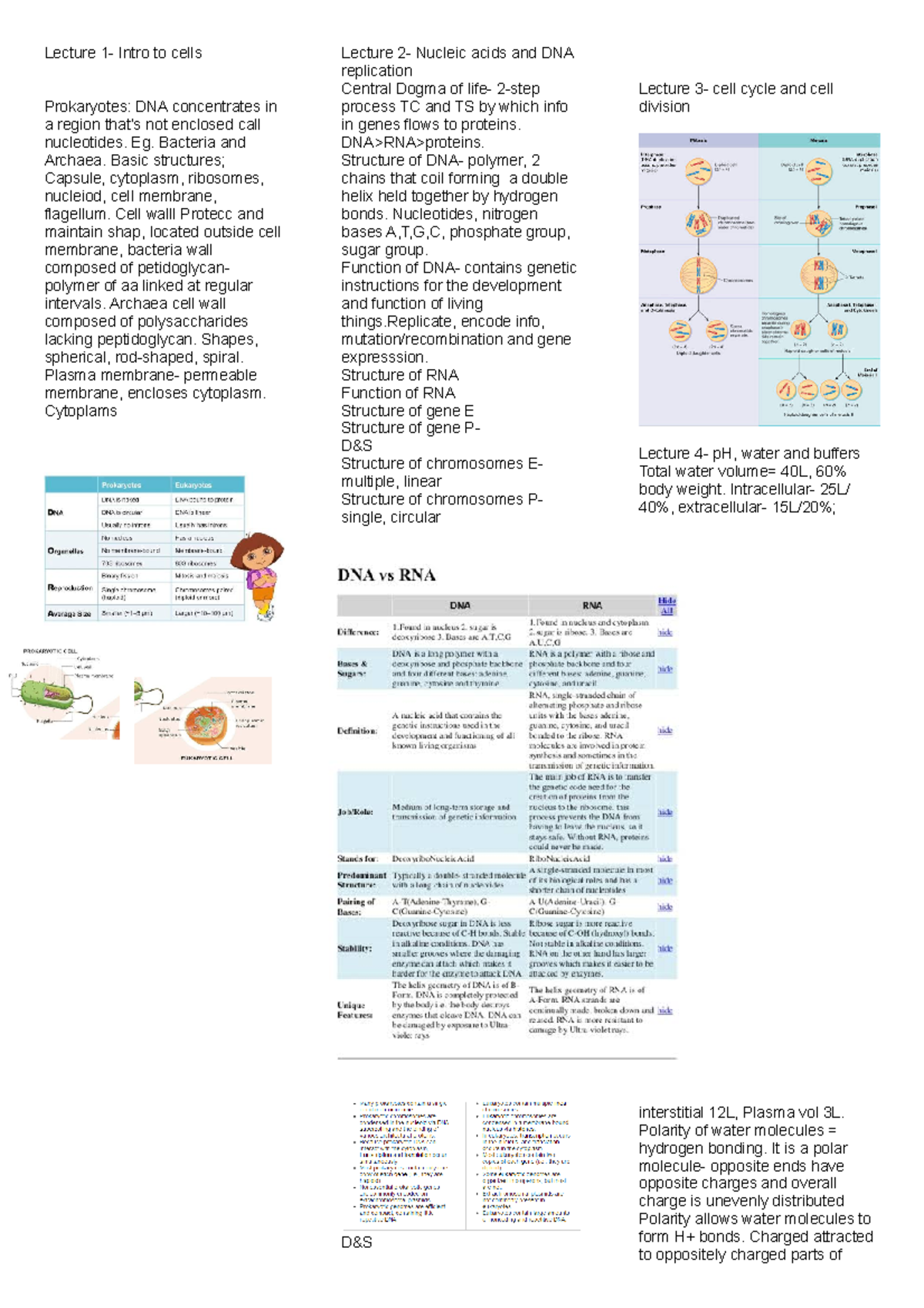 CBG cheat sheet - Summary Cell Biology and Genetics - Lecture 1- Intro ...