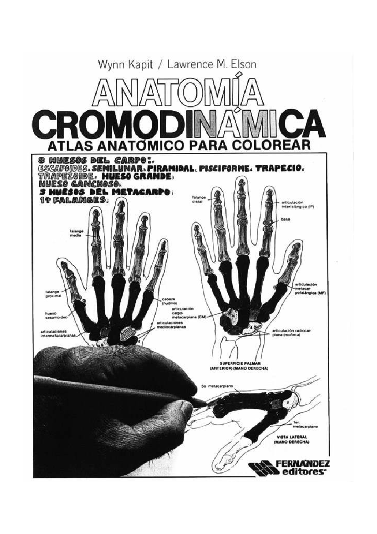 Anatomía cronodinamica - Wynn Kapit Lawrence M. Elson ANATOMIA ...
