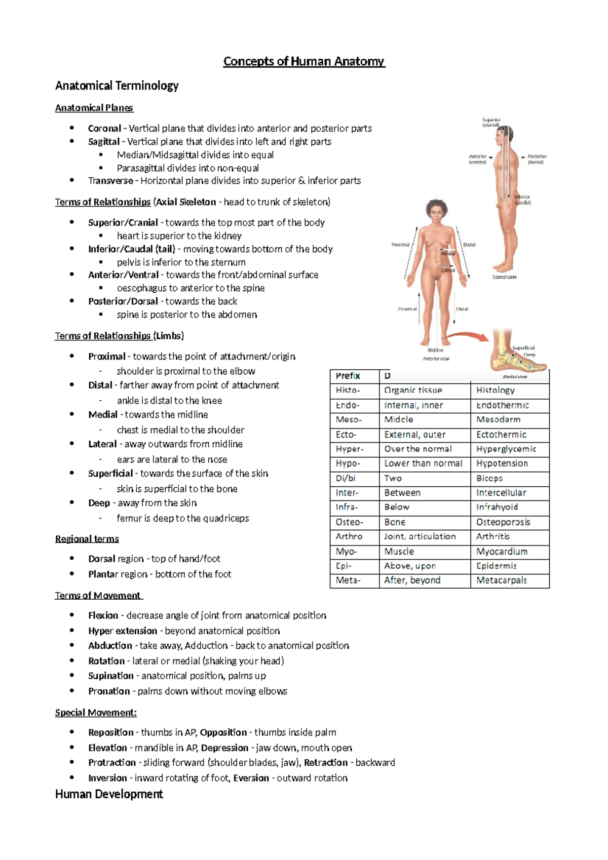 Concepts of Human Anatomy Notes - 301126 - UWS - Studocu