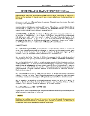 NOM 017 STPS 2008 - Poner en práctica la NOM 017 - INSTITUTO ...