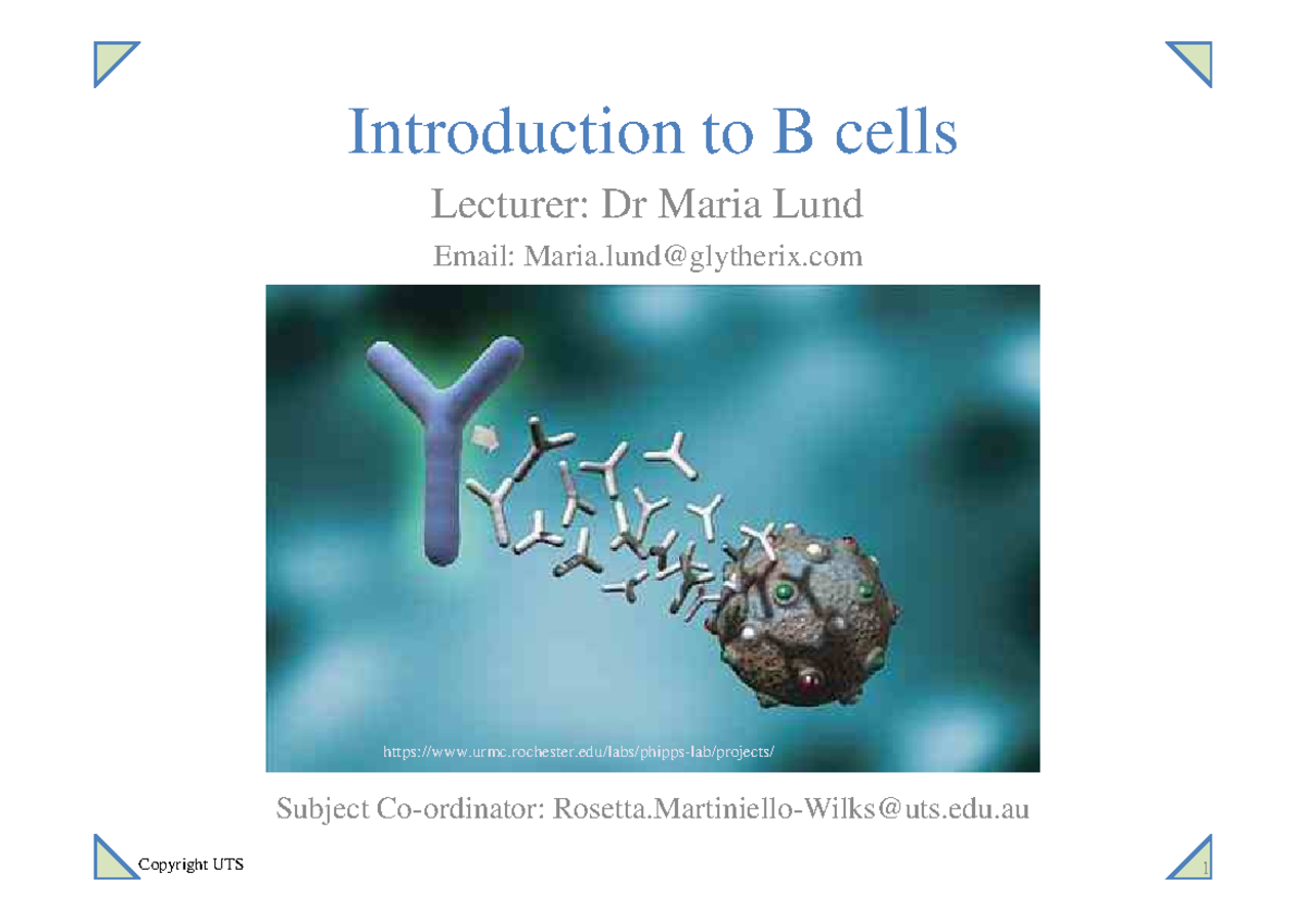 91401 B cells 1 - Lecture notes 1 - Introduction to B cells Lecturer ...