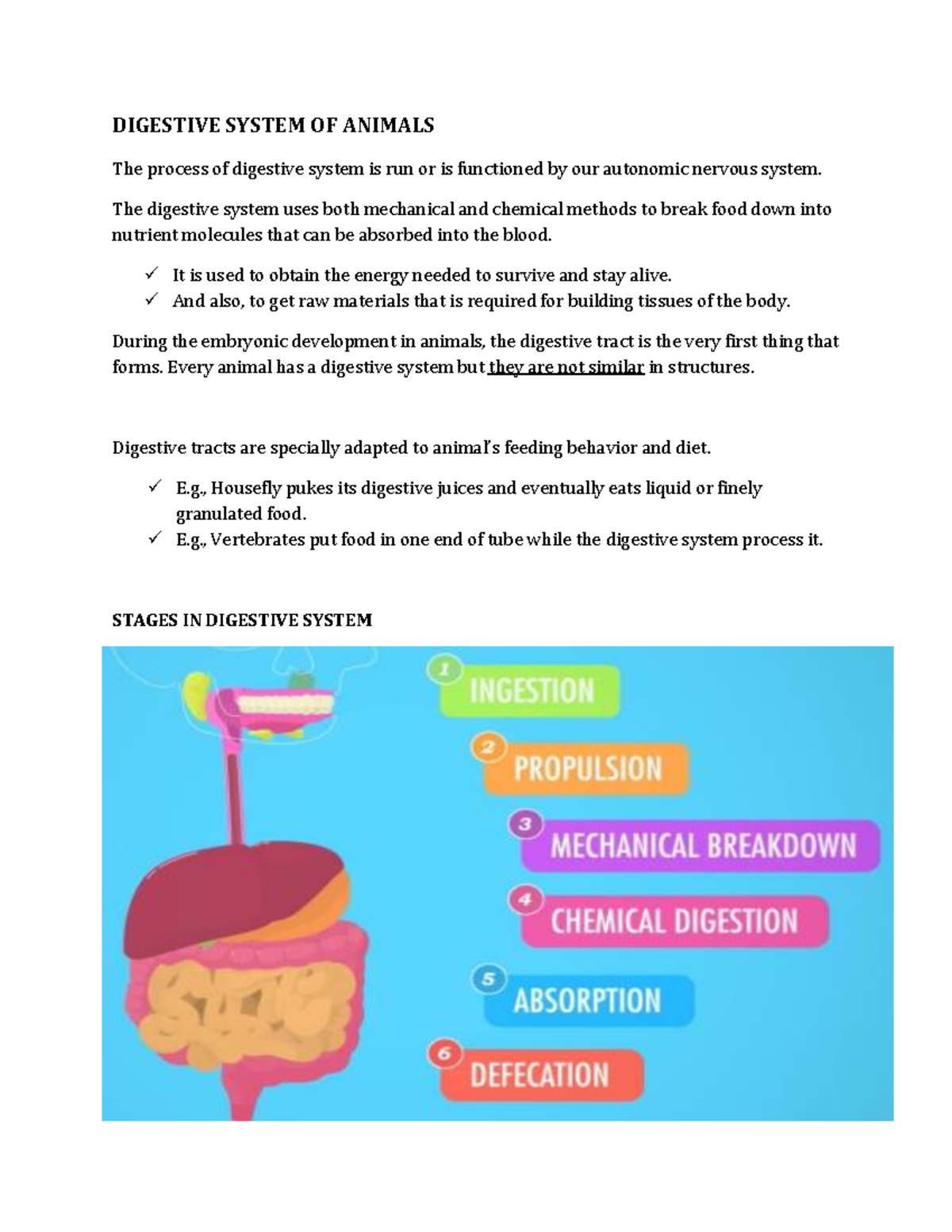 Digestive System of Animals - BS Biology - WMSU - Studocu