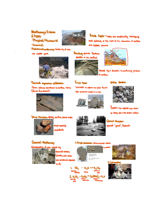 Lecture Sedimentary Rocks - SedimentaryRocks ...