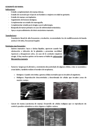 Valentin%2C+Journal+manager%2C+POL%C3%8 Dticas+DE+LA+VIDA%2C+ Retrato ...
