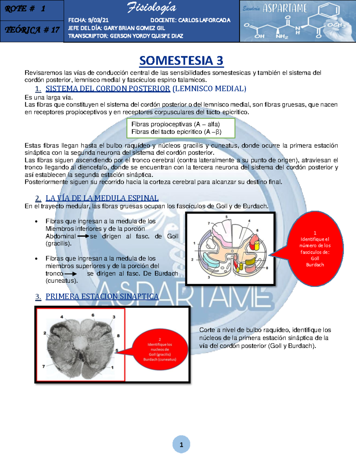 ASP F R T17 - SOMESTESIA DE - ####### FECHA: 9 /0 3 /2 1 DOCENTE ...
