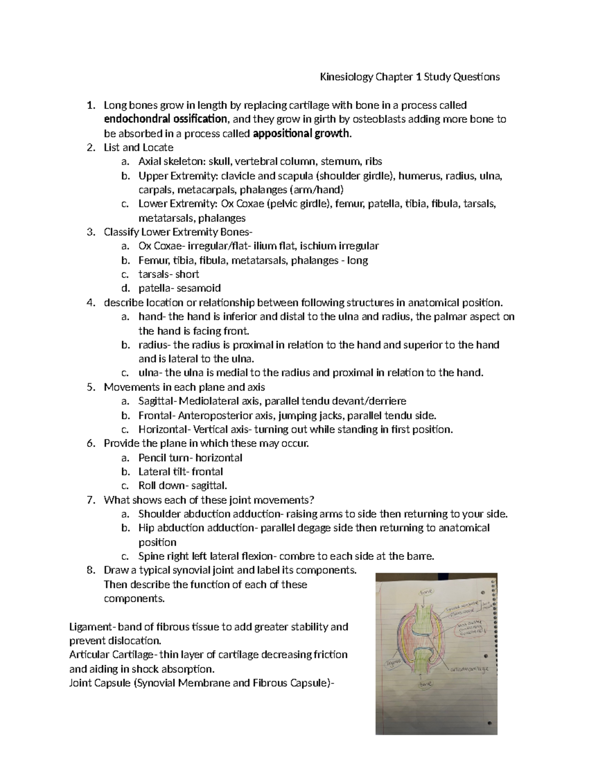 Kinesiology Chapter 1 Study Questions - Kinesiology Chapter 1 Study Questions Long bones grow in ...