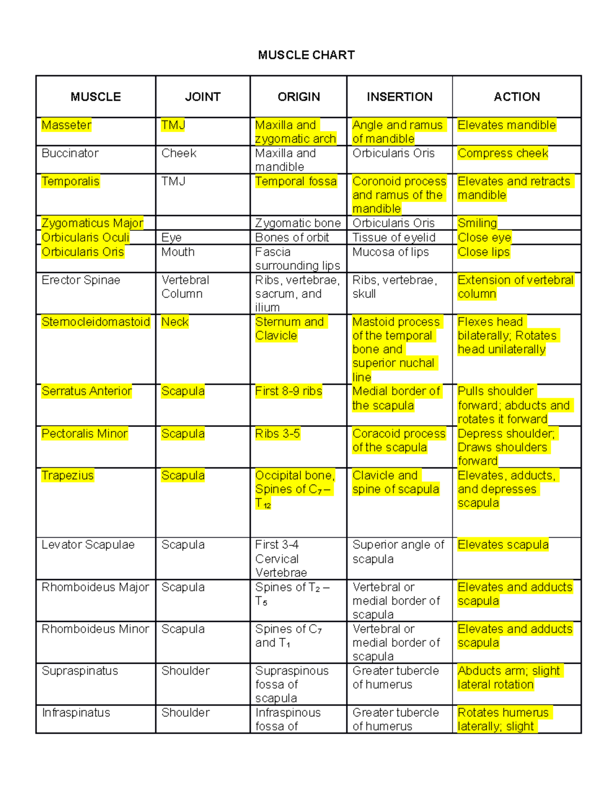 Muscle Chart ADA1 - MUSCLE CHART MUSCLE JOINT ORIGIN INSERTION ACTION ...