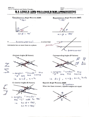 ISU ENG2D 2023 (Black Like Me) - Ali Cheaib - Numerical Analysis and ...