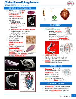 “Chloride” - Chloride lecture notes - “Chloride” Chloride It is the ...
