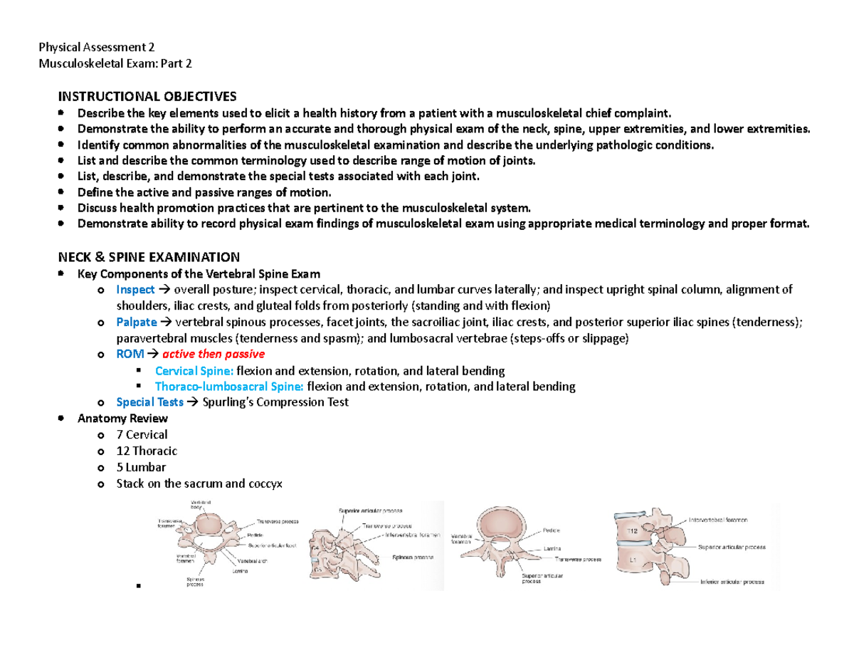 Phys Assess 2 MSK 2 - lecture notes - Physical Assessment 2 ...