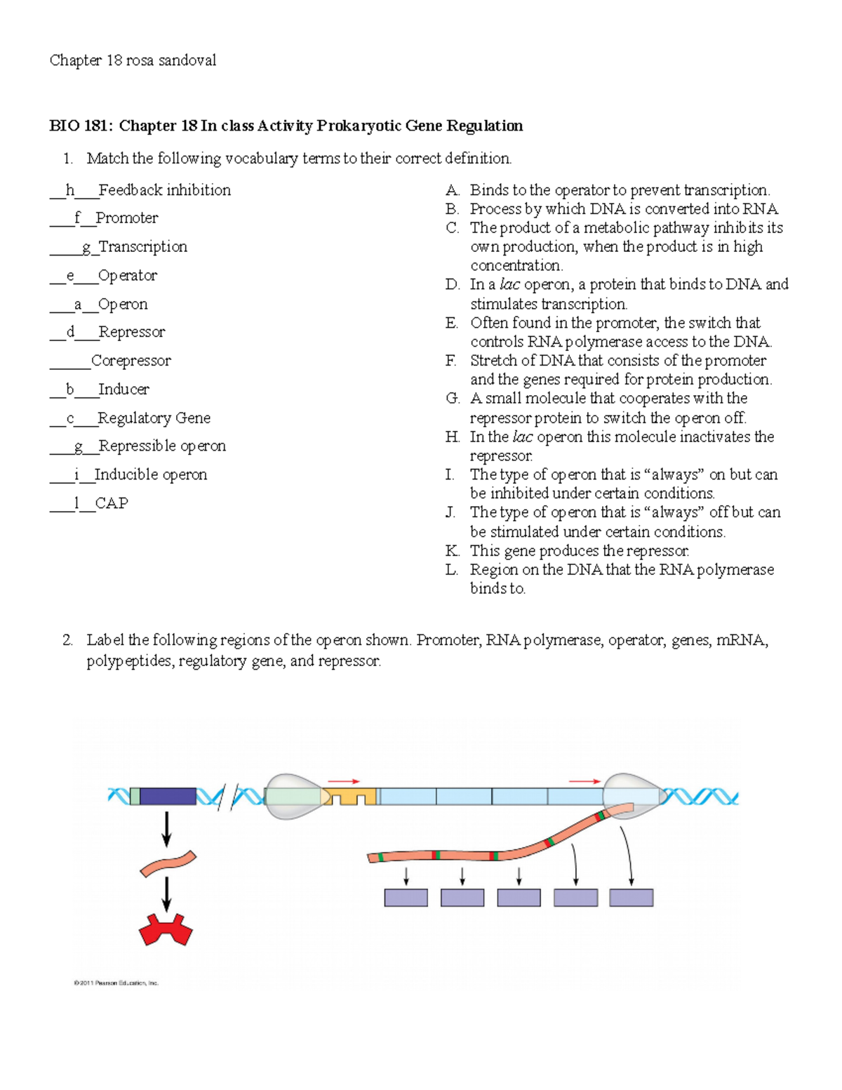 WEEK 14-HW-Ch 18 - Chapter 18 summary - Chapter 18 rosa sandoval BIO ...